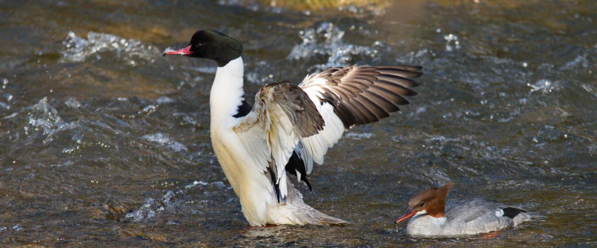 Akmenos kraštovaizdžio draustinis - Istorijos lobynas