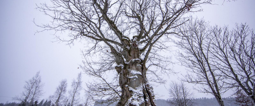 Akmenos kraštovaizdžio draustinis - Istorijos lobynas