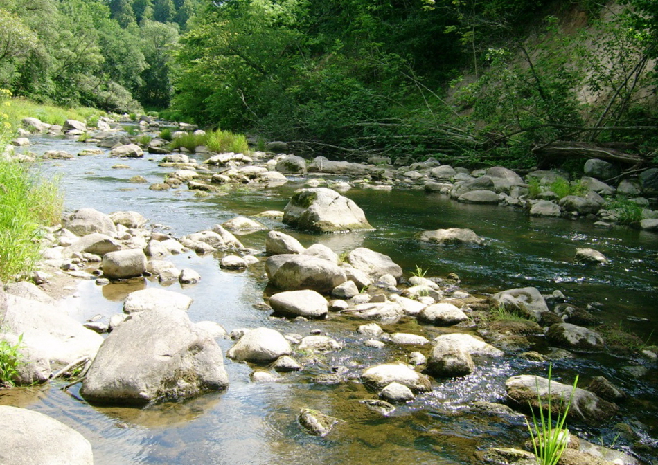 Didžioji Akmenos rėva - Istorijos lobynas