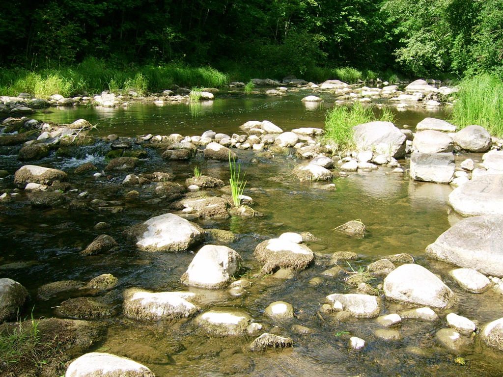 Didžioji Akmenos rėva - Istorijos lobynas