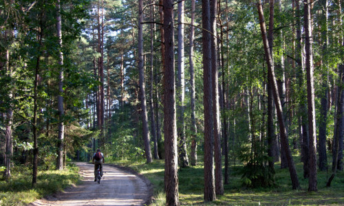 Kairiojo Neries kranto turizmo trasa - Istorijos lobynas